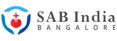 Our Works - SAB India